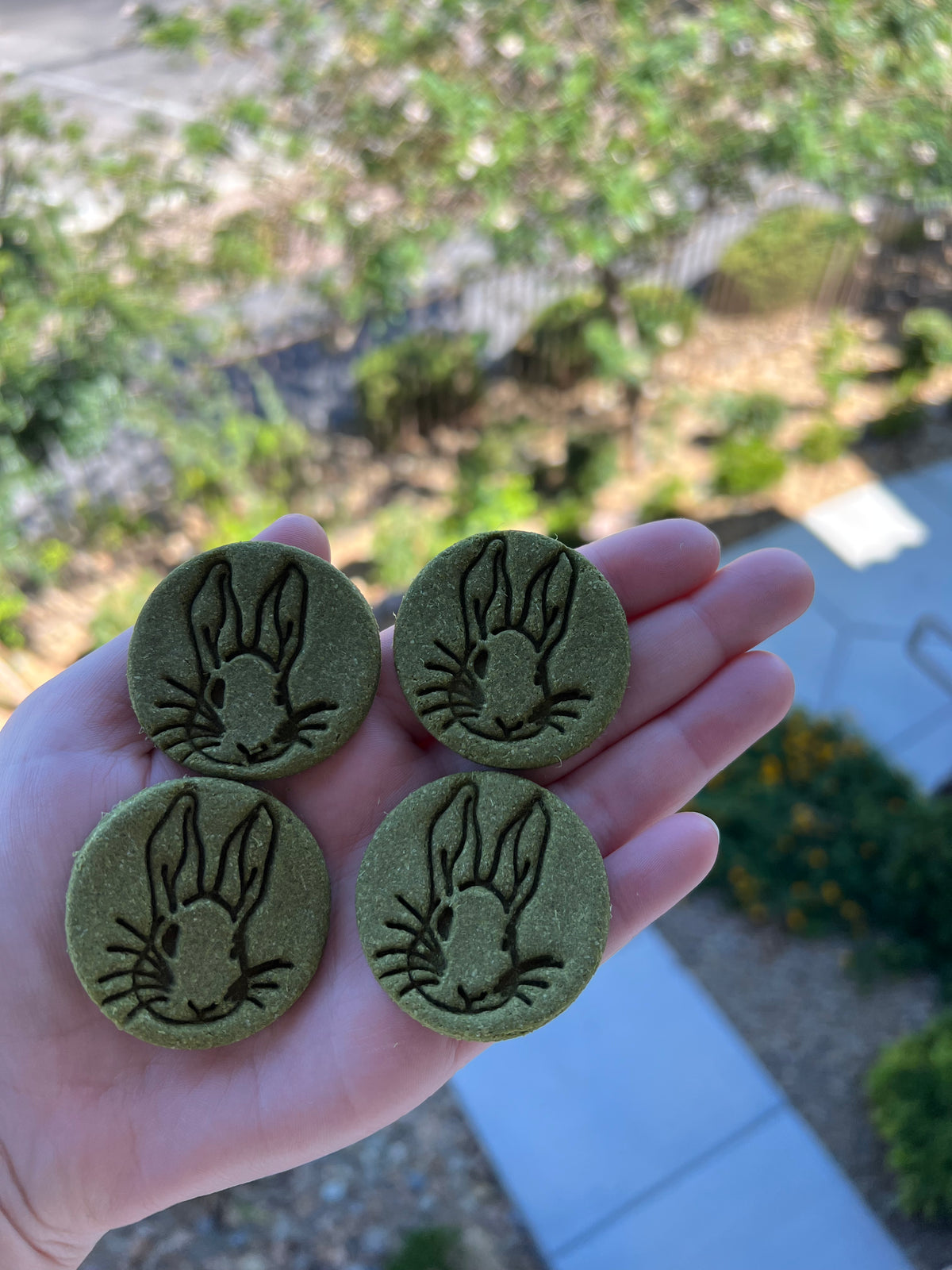 Cilantro Cookies | 100% Organic and Healthy Treats for Rabbits, Guinea ...