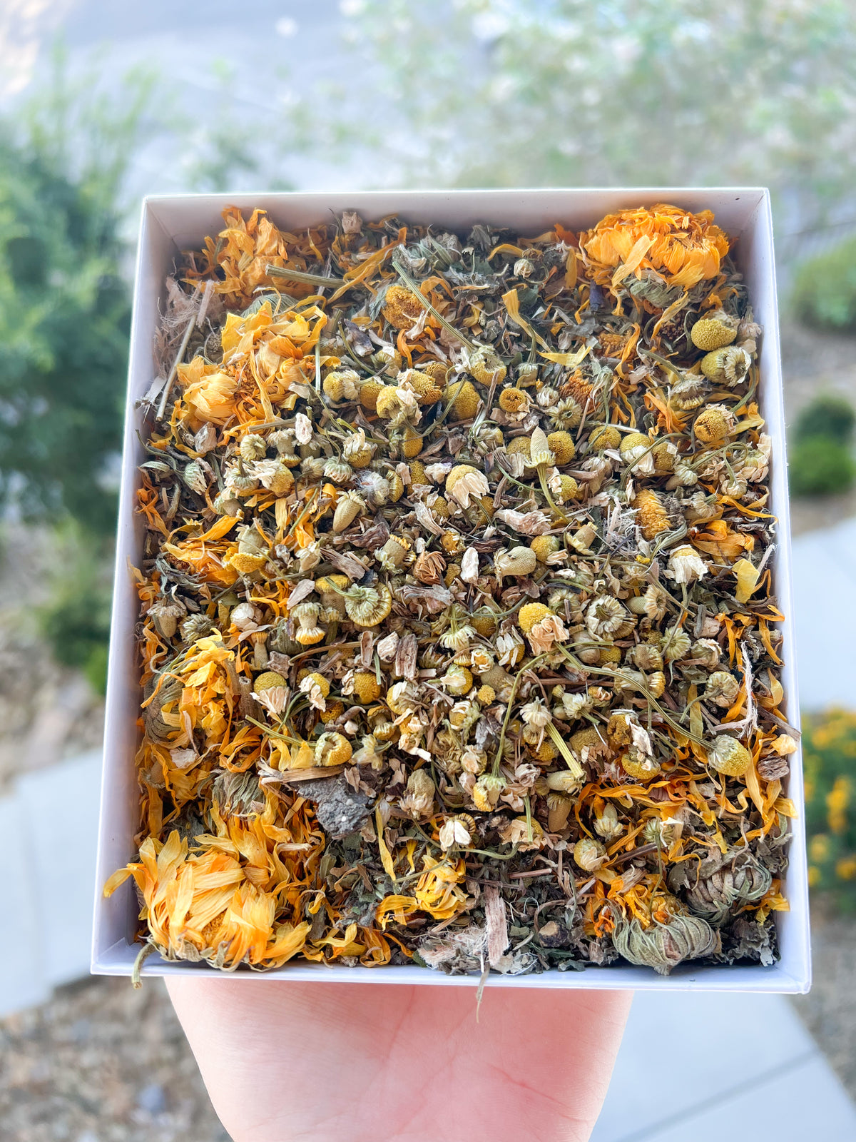 Happy Tummy Digestive Blend | Organic Healthy Forage for Rabbits/Bunni ...